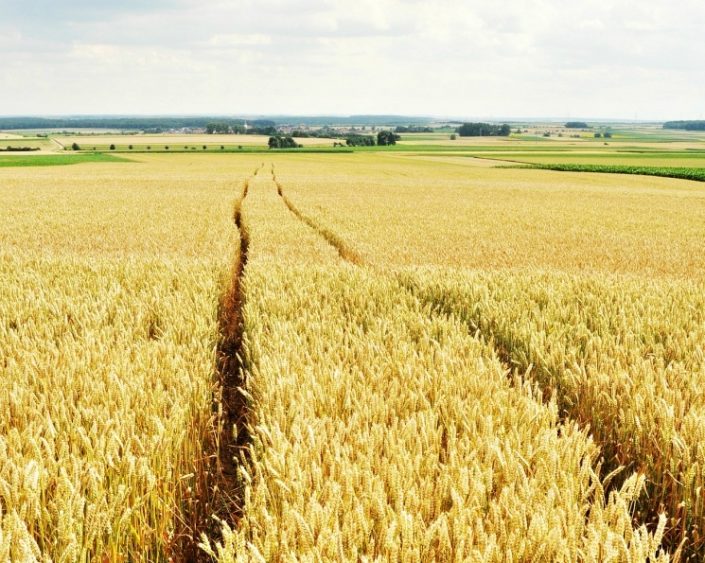 THE RETURN TO THE RIGHT PATH – AthoniteTestimony.com